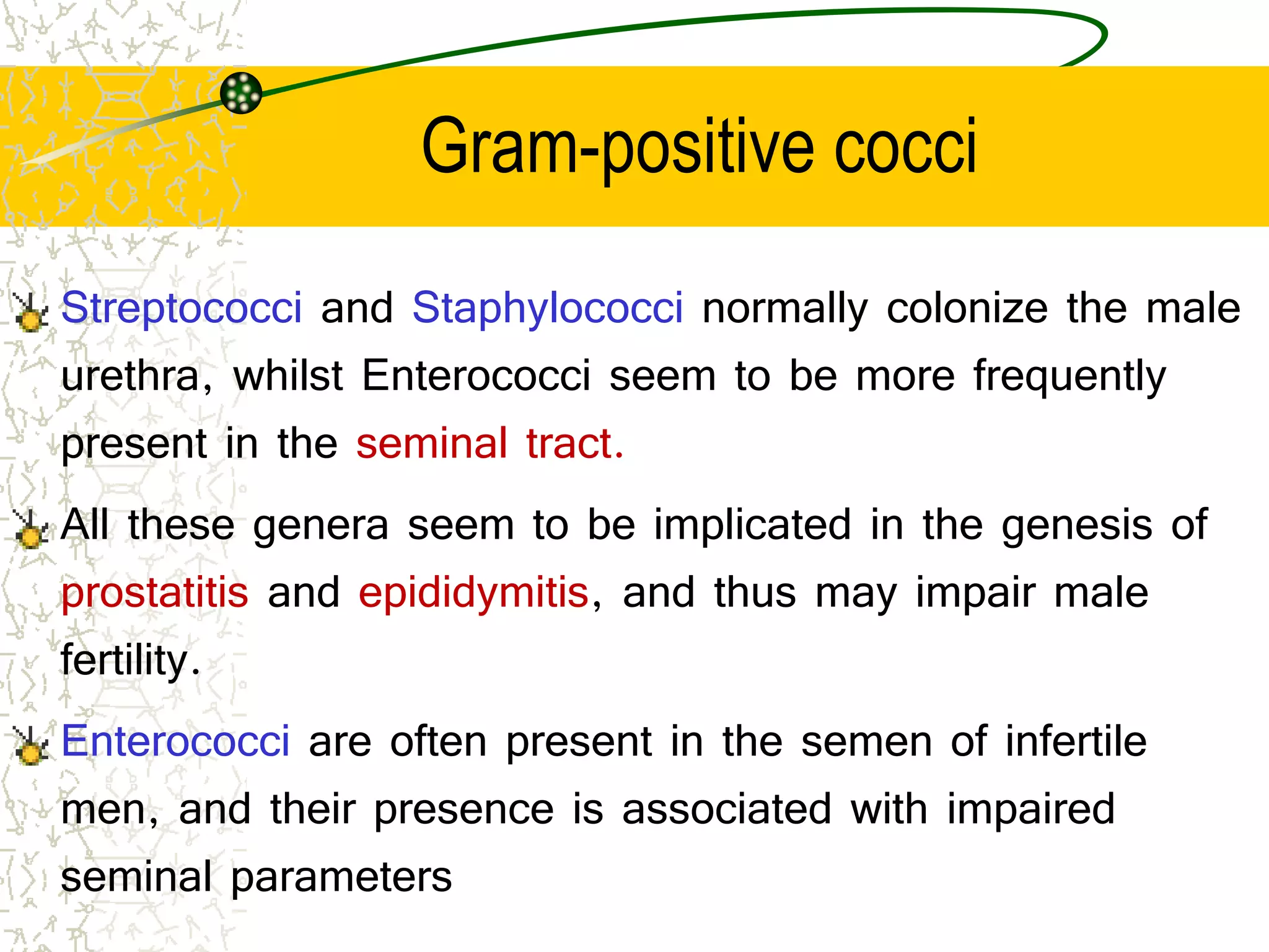 Reproductive Tract Infections and Infertility | PPTX