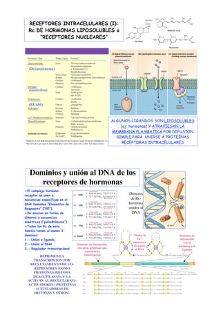 Comunicacion celular | PDF