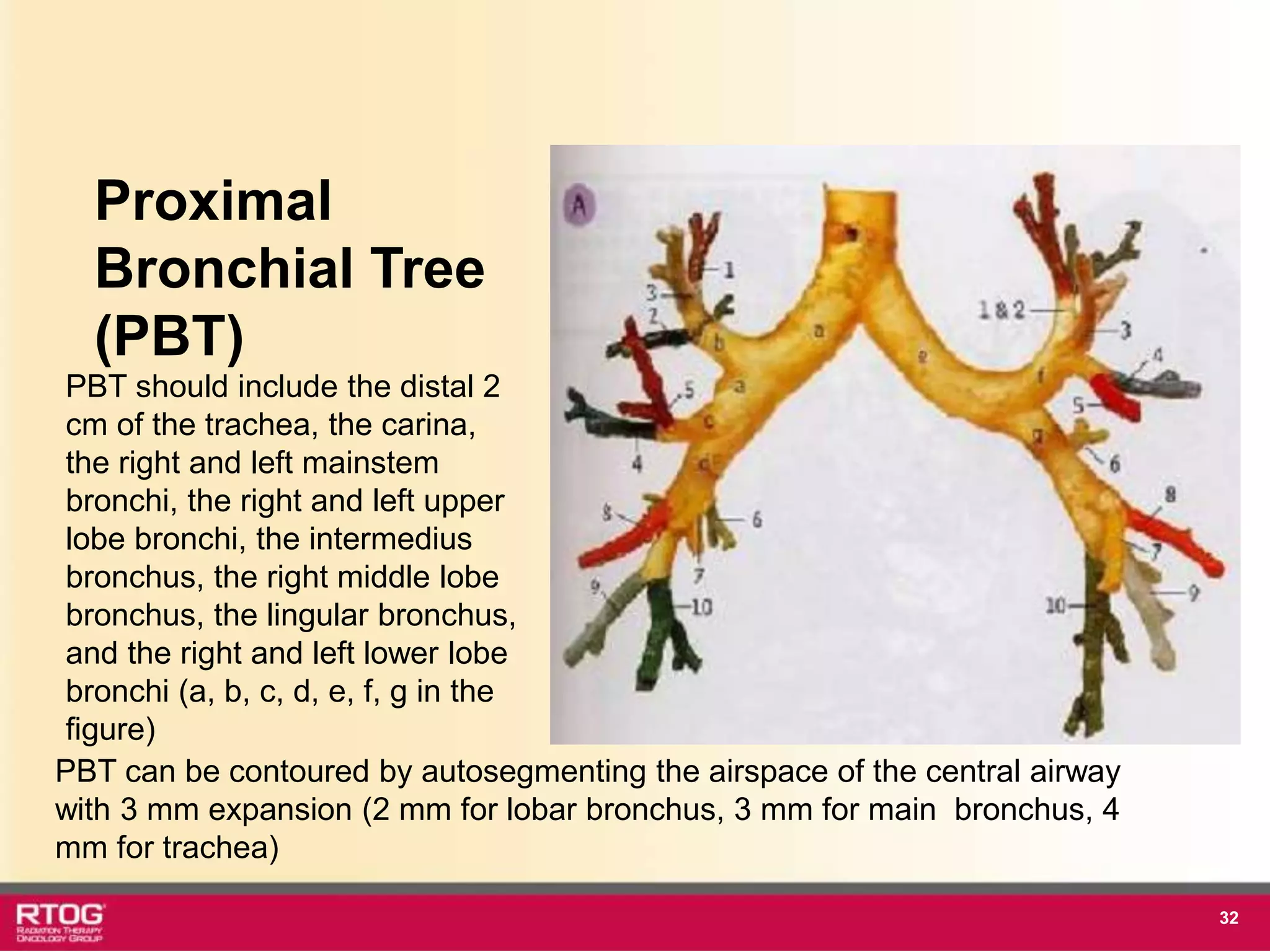 RTOG 1106 OAR Atlas Thoracic Radiation Therapy.ppt