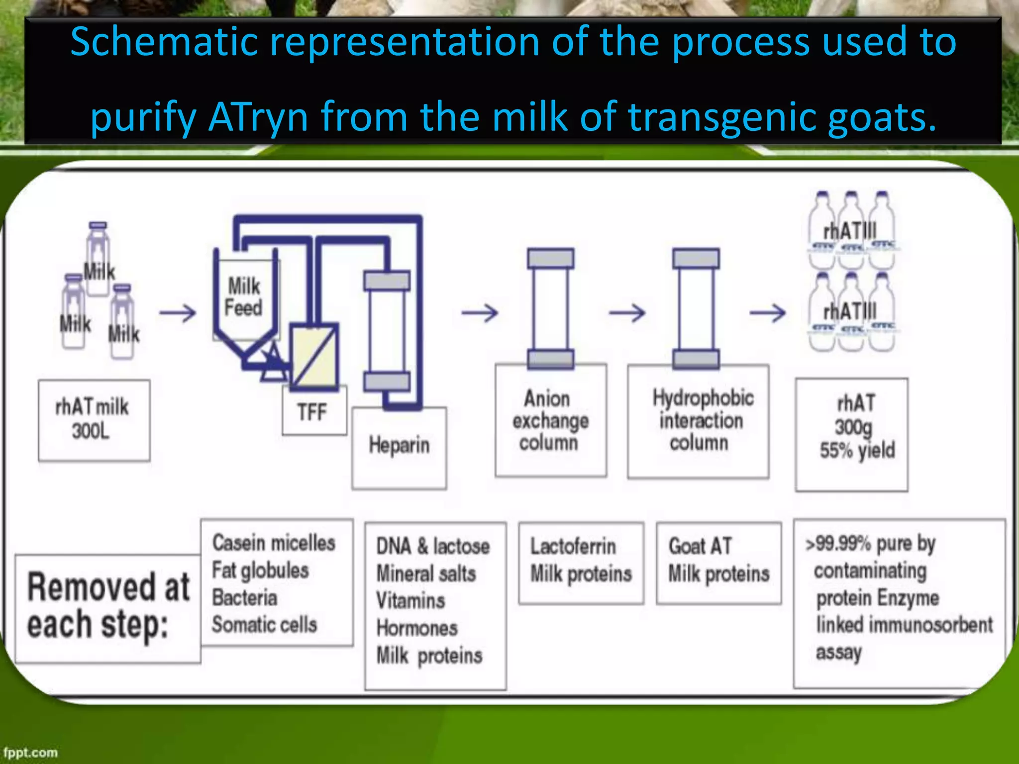 Recombinant therapeutic proteins | PPTX