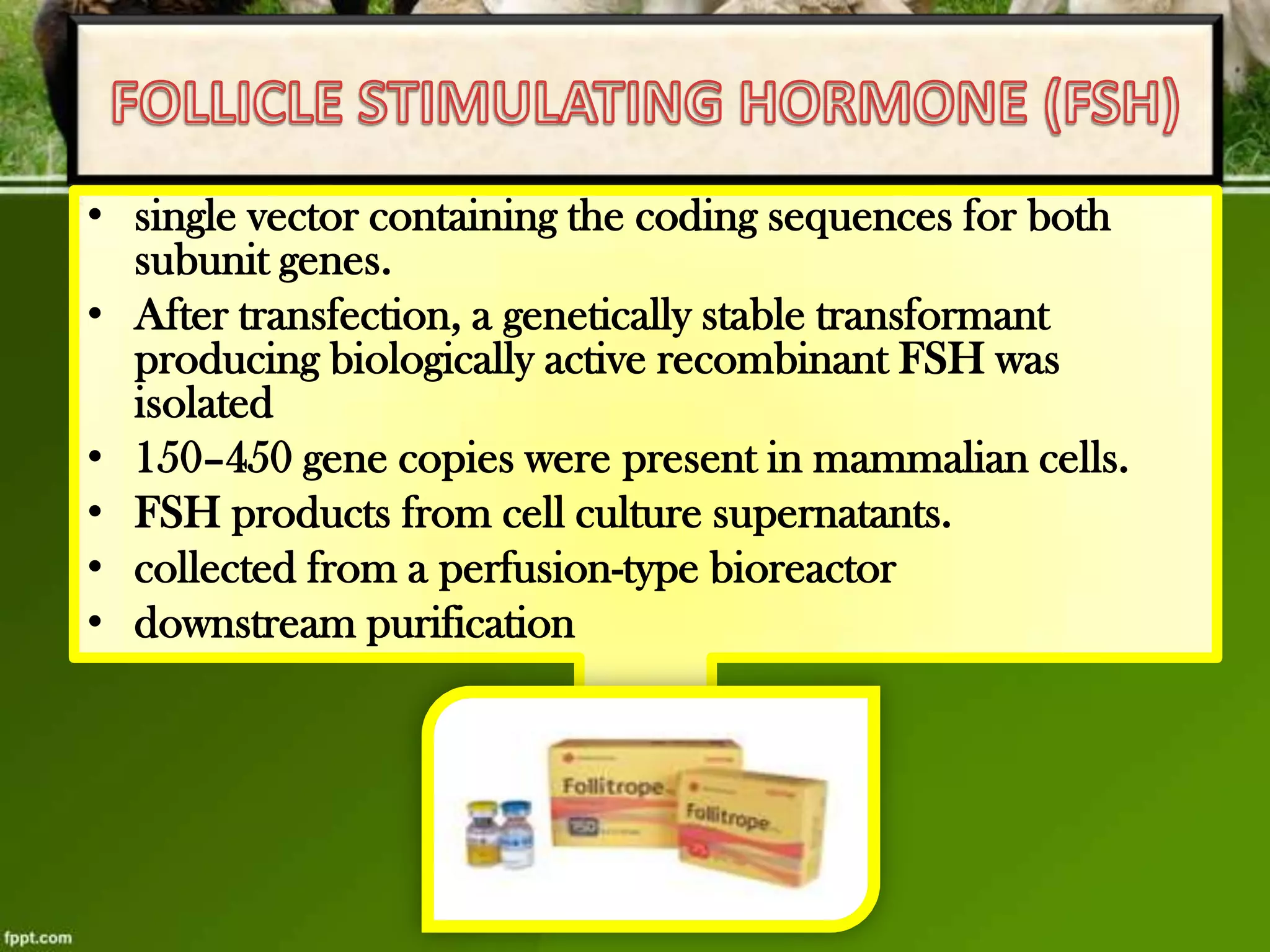 Recombinant therapeutic proteins | PPTX