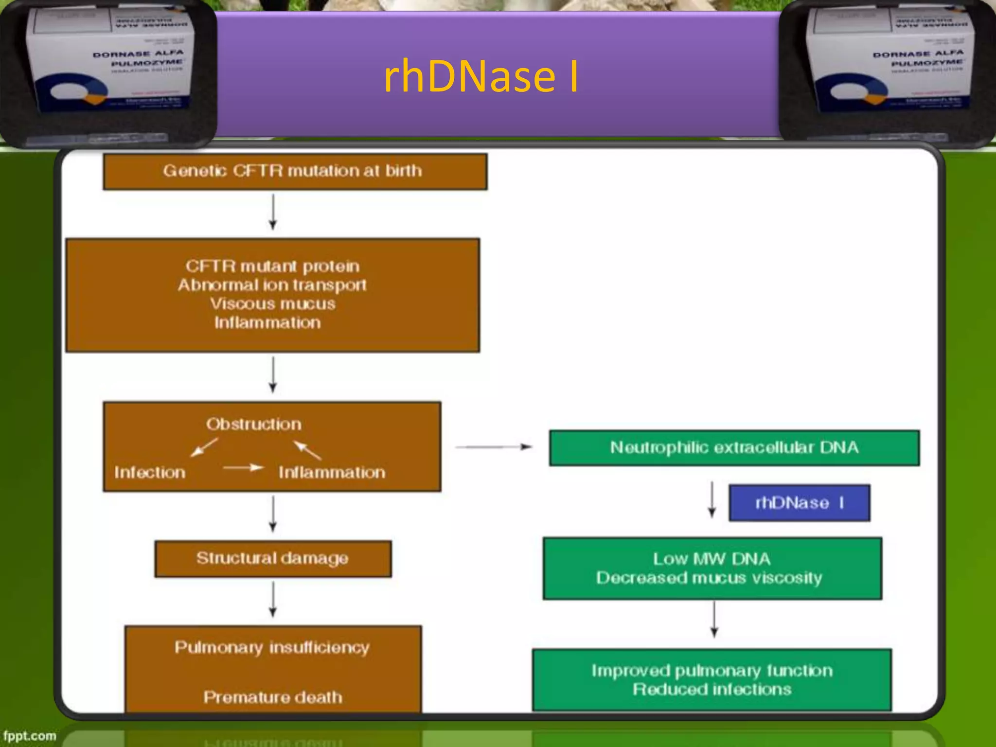 Recombinant therapeutic proteins | PPTX