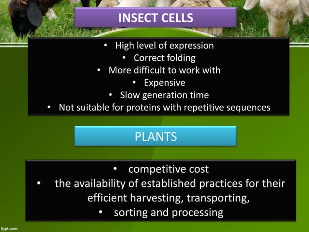 Recombinant therapeutic proteins | PPTX