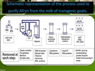 Recombinant therapeutic proteins | PPTX