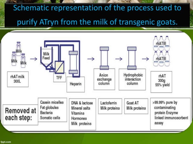 Recombinant therapeutic proteins | PPTX