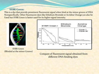 Real time PCR | PPTX