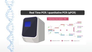 Rt pcr | PDF