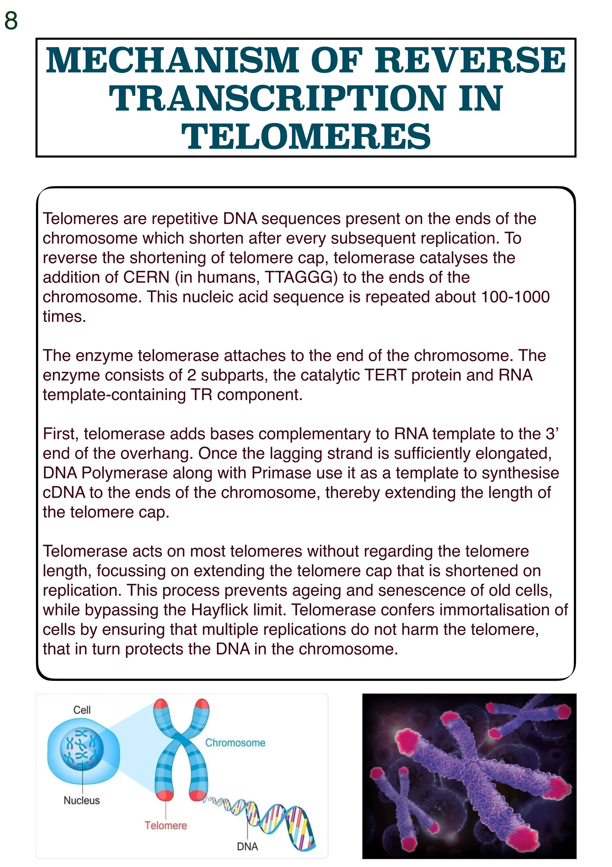 RTPCRpresentationAmanNanavatySlideShow.pdf