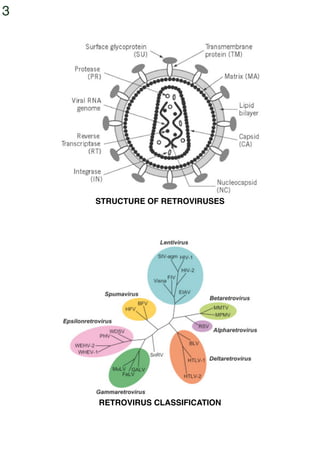 RTPCRpresentationAmanNanavatySlideShow.pdf