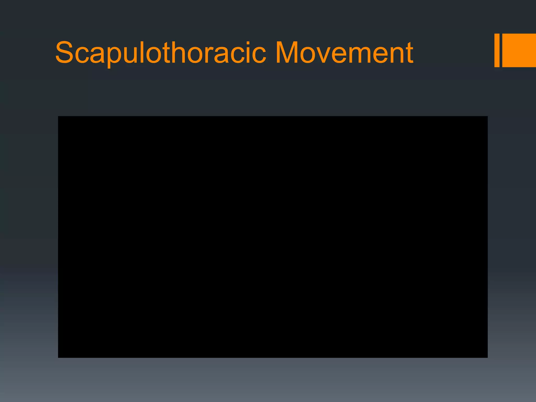 Reverse Total Shoulder Replacement: Anatomy, Rehabilitation, and ...