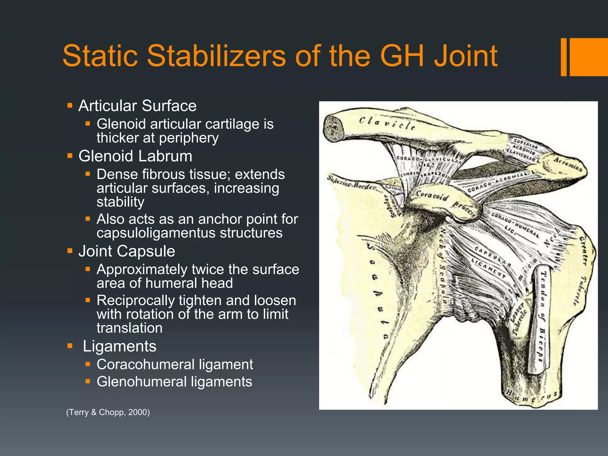 Reverse Total Shoulder Replacement: Anatomy, Rehabilitation, and ...