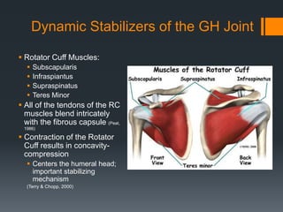 Reverse Total Shoulder Replacement: Anatomy, Rehabilitation, and ...