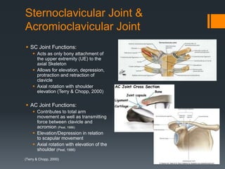 Reverse Total Shoulder Replacement: Anatomy, Rehabilitation, and ...
