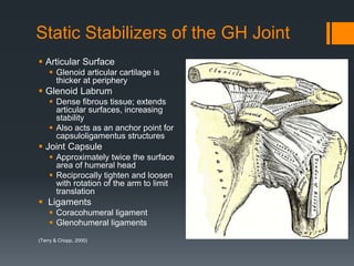 Reverse Total Shoulder Replacement: Anatomy, Rehabilitation, and ...