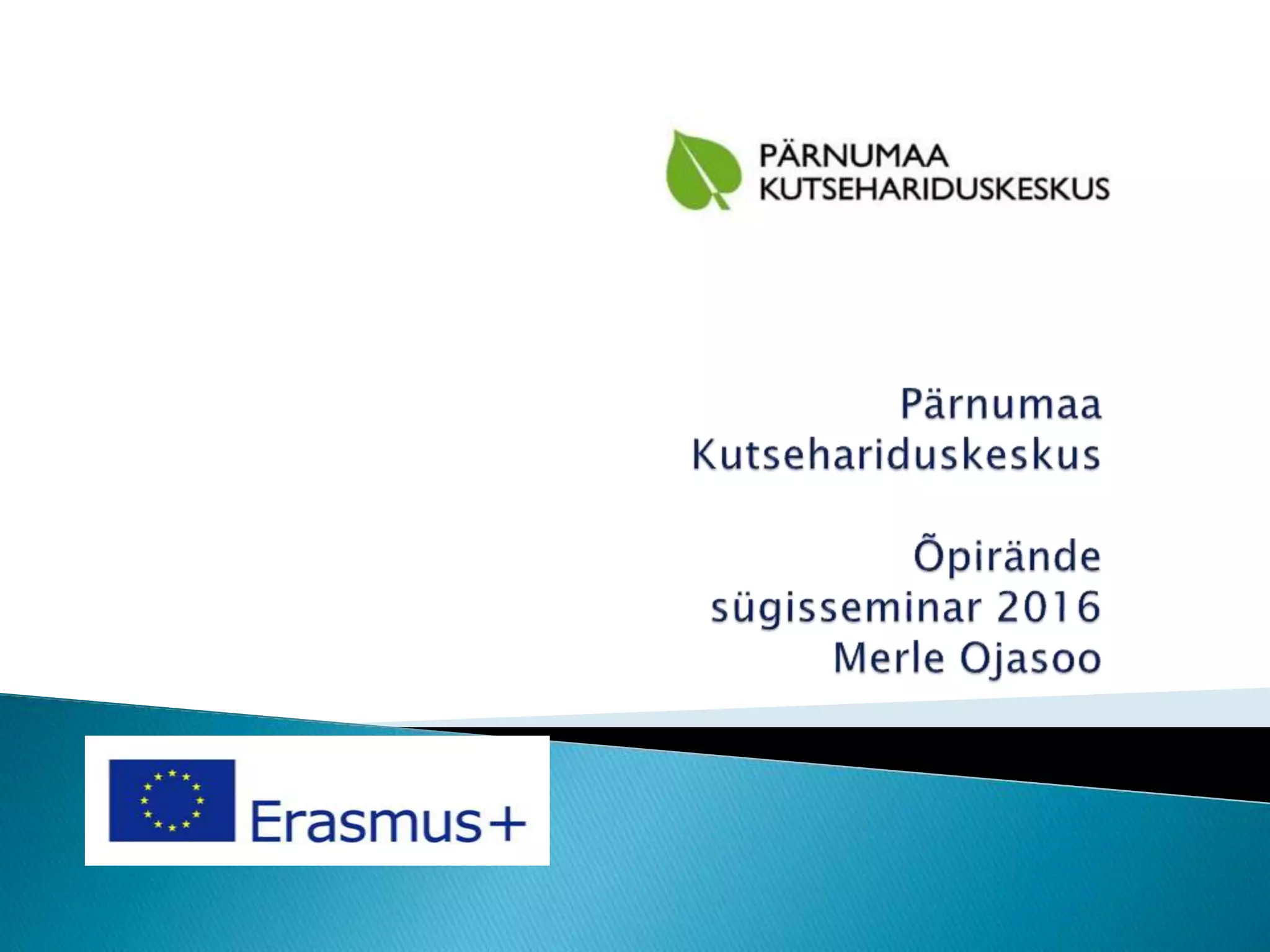 Rätsepatöö eriala õpiränne: Merle Ojasoo | PPT