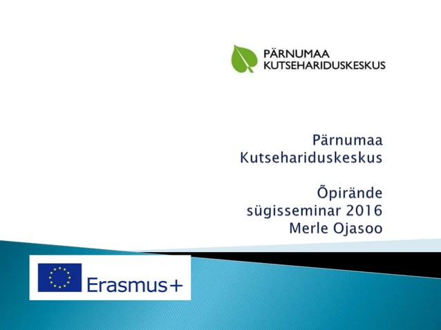 Rätsepatöö eriala õpiränne: Merle Ojasoo | PPTX