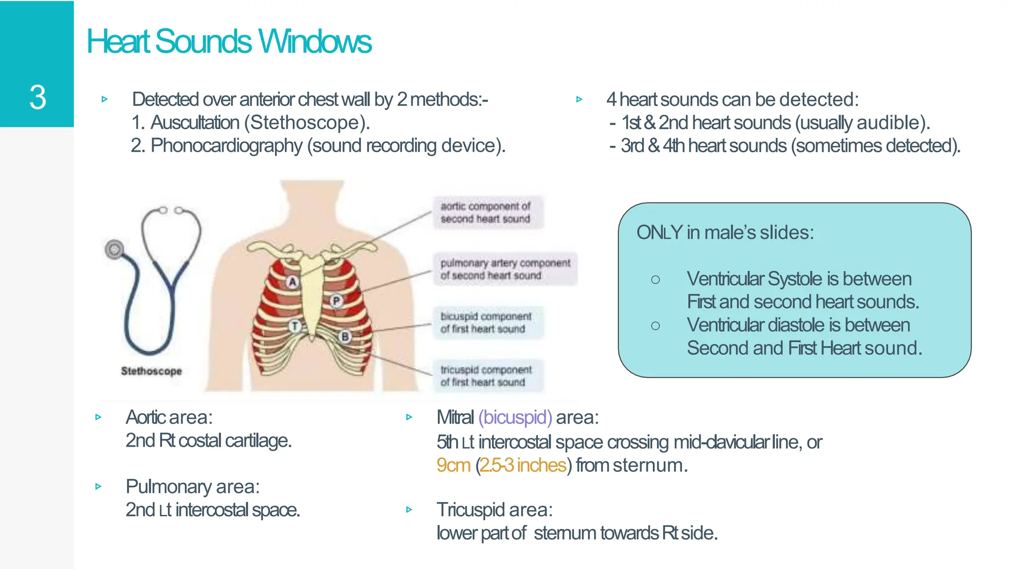 heart sounds and murmurs only and only one ppt | PPTX | Heart and ...