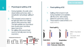 heart sounds and murmurs only and only one ppt | PPTX | Heart and ...