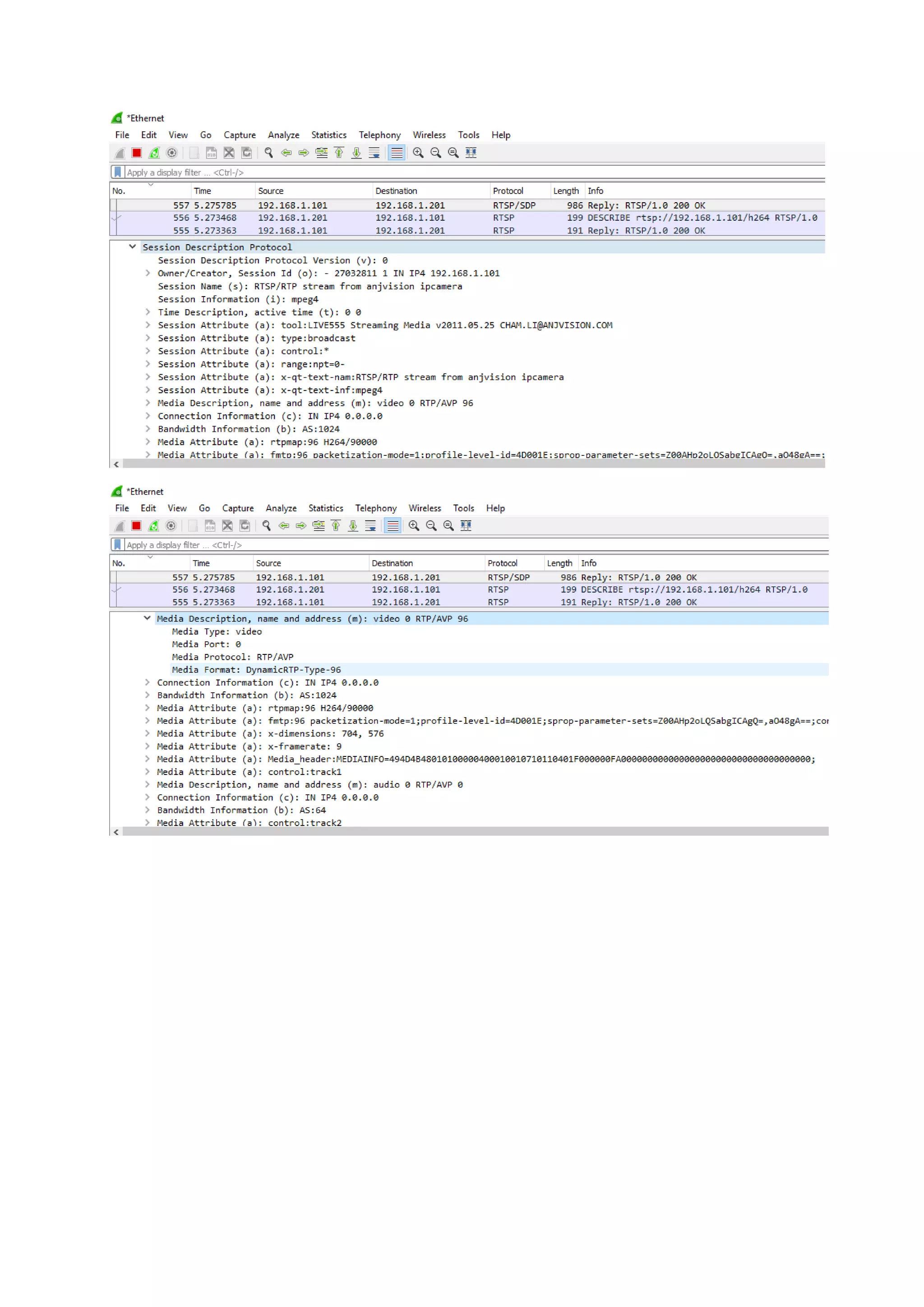 Rtsp with wireshark | DOCX