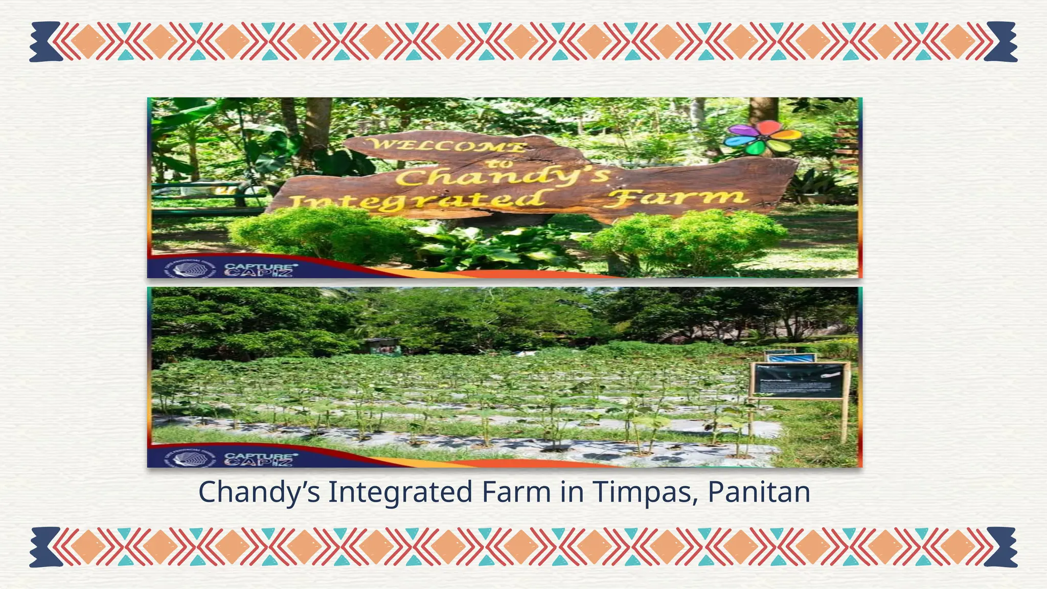 Municipality_of_Panitan_Capiz_Philippines.pptx