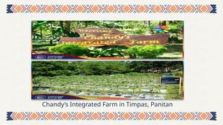 Municipality_of_Panitan_Capiz_Philippines.pptx