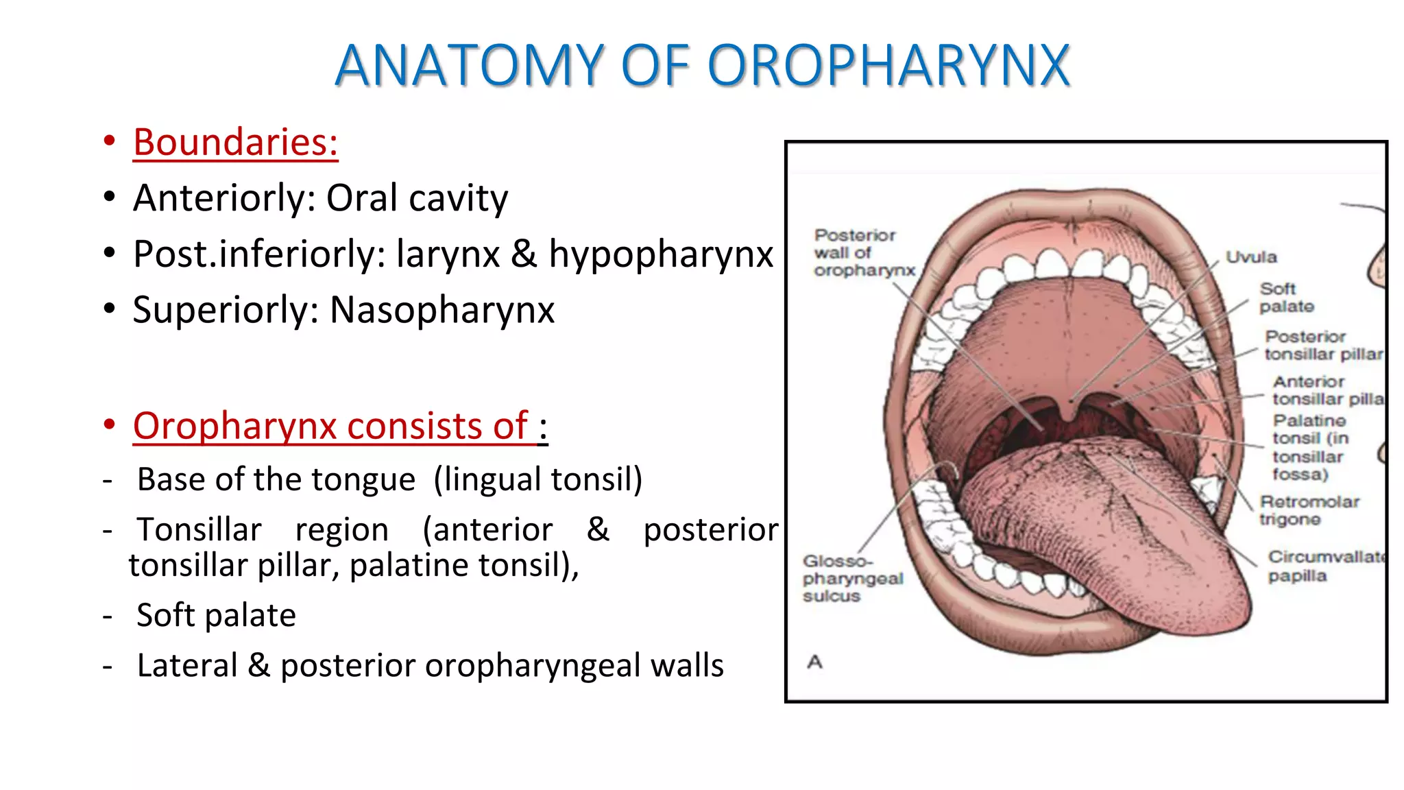 Radiotherapy techniques, indications and evidences in oral cavity and oropharynx | PPTX