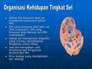 ruang-lingkup-biologi.ppt