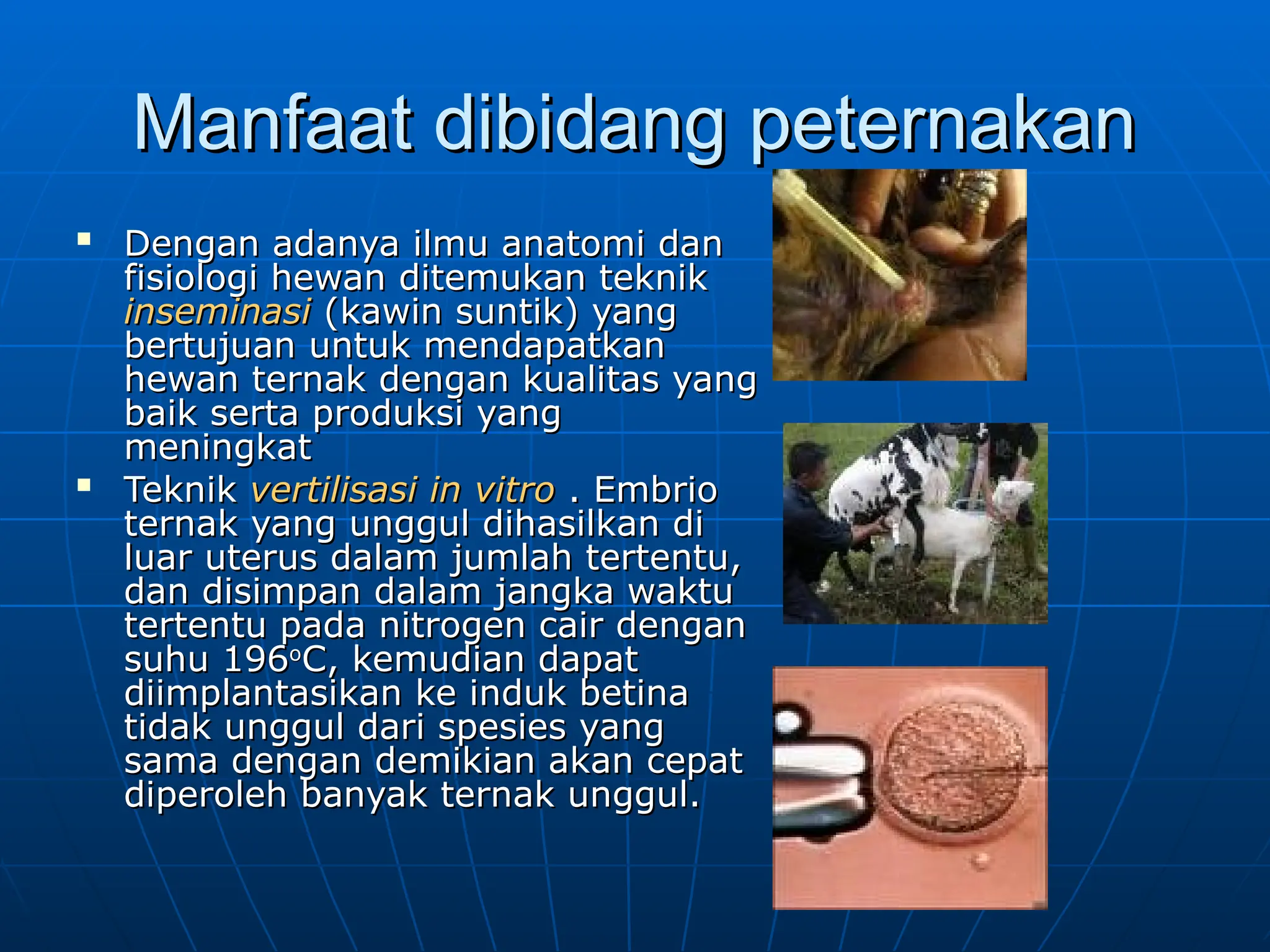 ppt materi ruang lingkup biologi kelas X sma | PPT