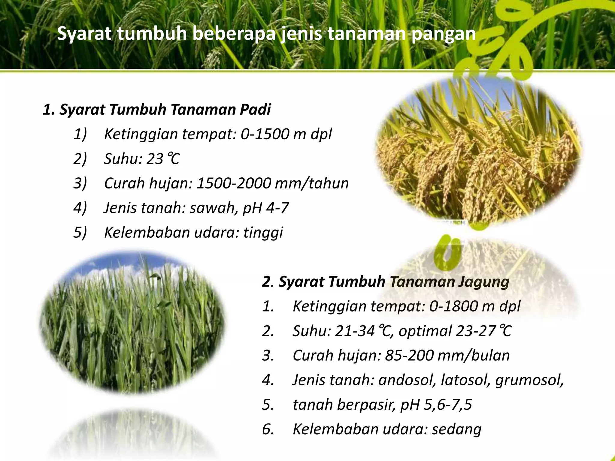 RUANG LINGKUP AGRITAN PANGAN.pptx