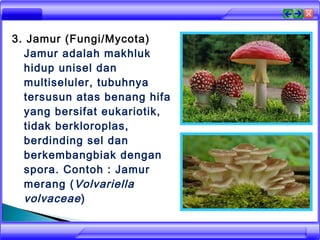 Ruang lingkup biologi | PPT