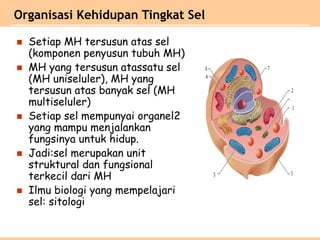 Ruang Lingkup Biologi.ppt