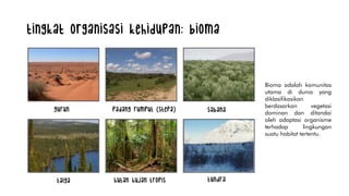 Ruang lingkup biologi, materi kelas 10 SMA | PDF