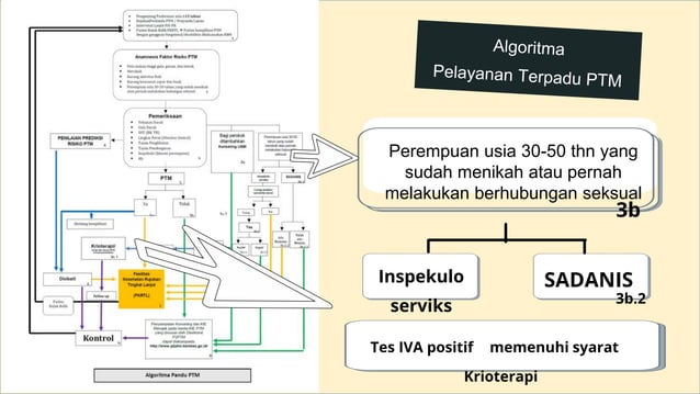 RUANG LINGKUP PANDU PTM DAN ALGORITMA.pptx