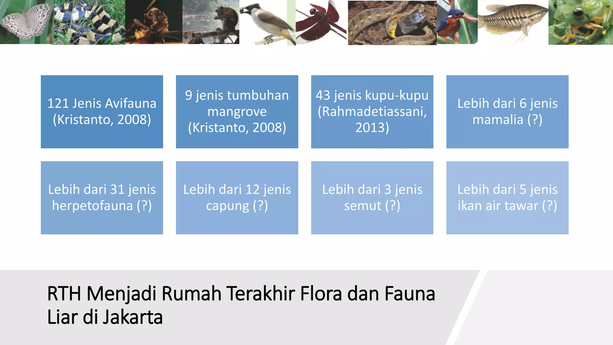 Ruang Terbuka Hijau di Jakarta | PPTX