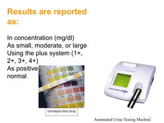 RUA(Urineanalysis)3.p and lab experiment | PPT