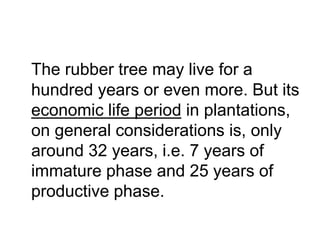 Rubber | PPT