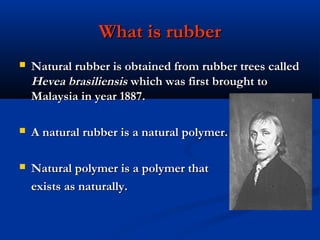 Rubber | PPT