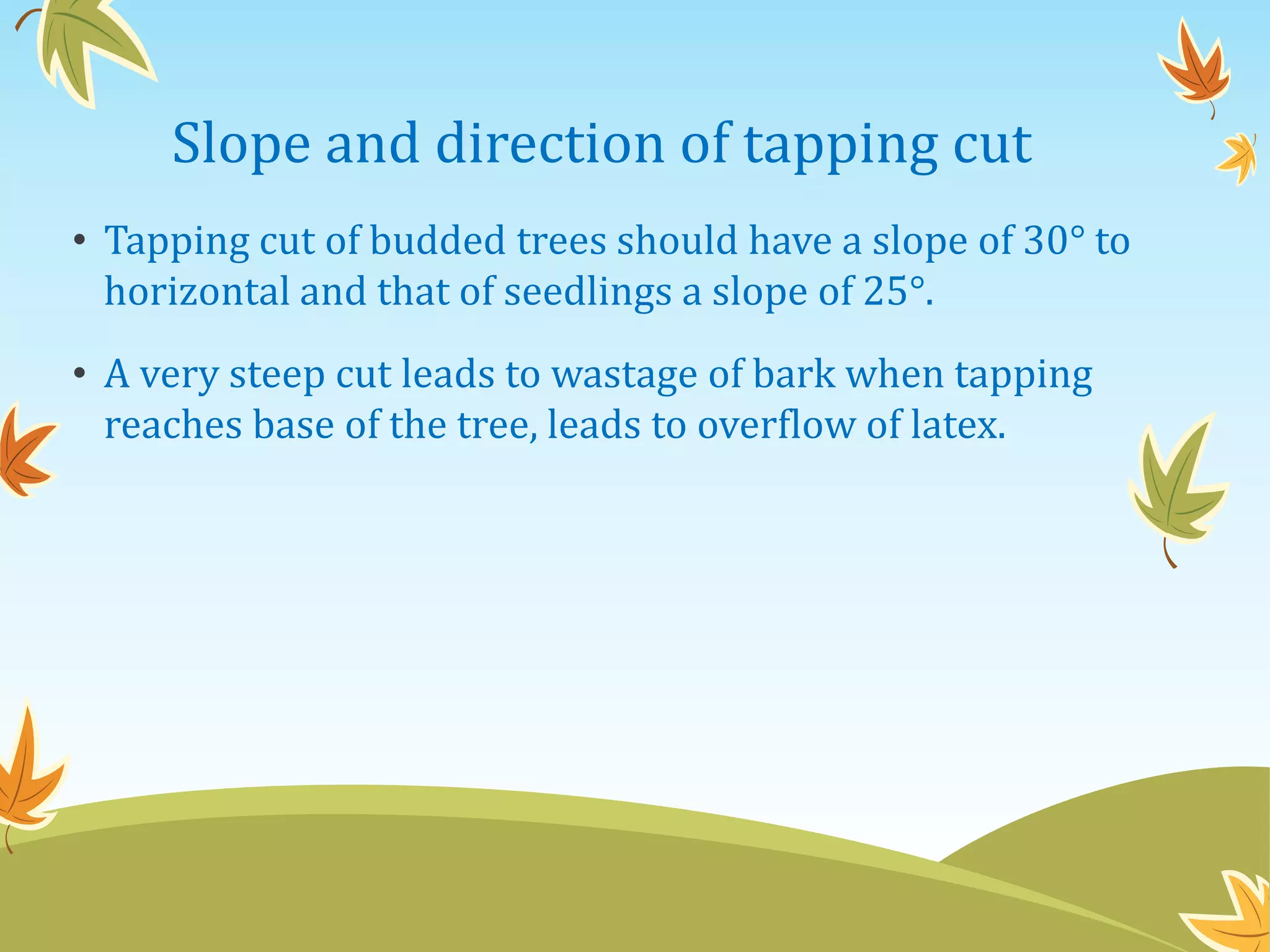 RUBBER CULTIVATION | PPTX