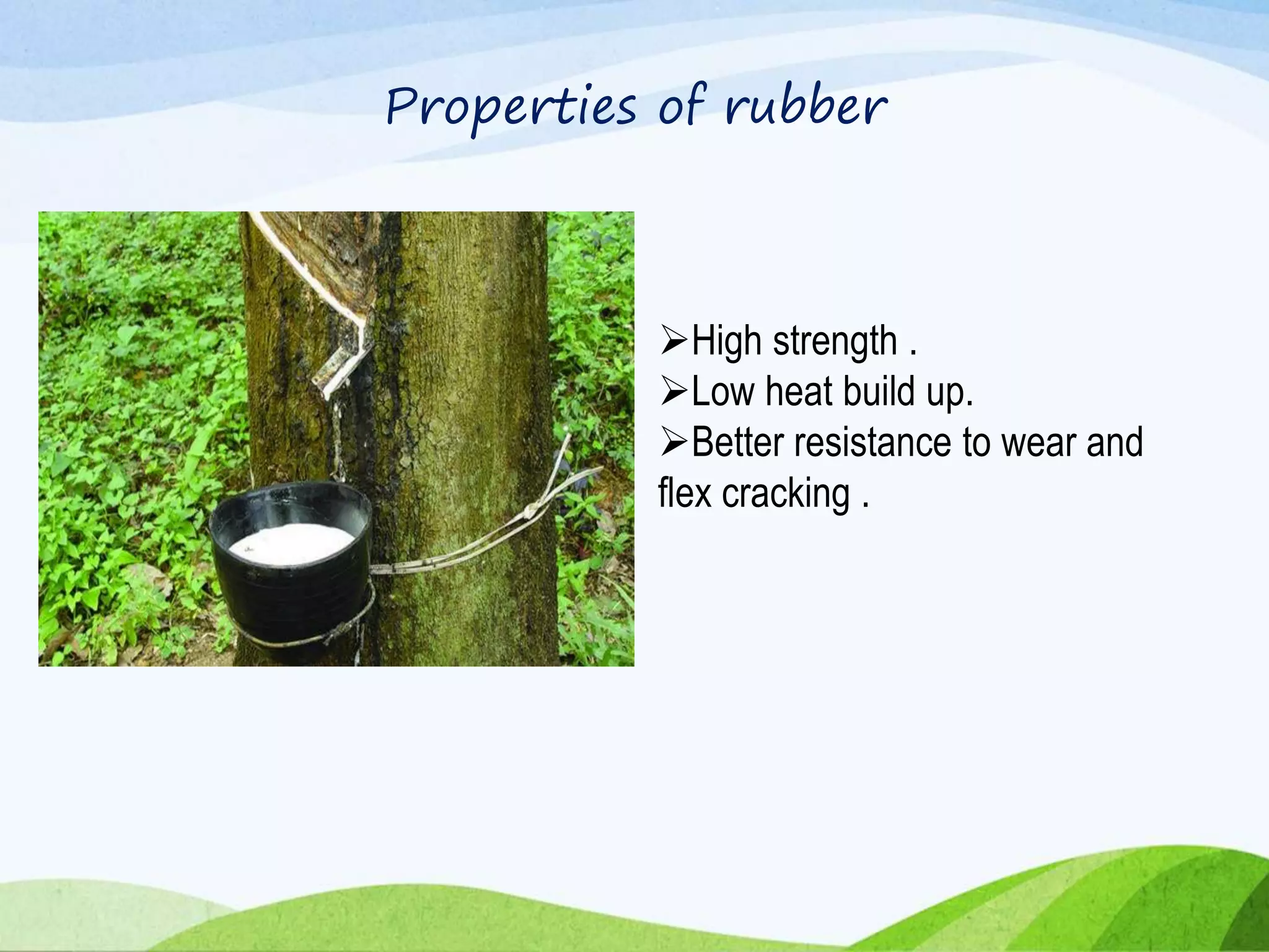 RUBBER CULTIVATION | PPTX