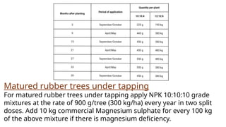 Production Technology of Rubber......... | PPTX