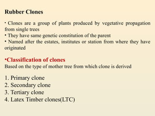 Rubber breeding.pptxbdnjskdkwjsjkjwsjjjsjjws | PPTX | Gardening | Home ...