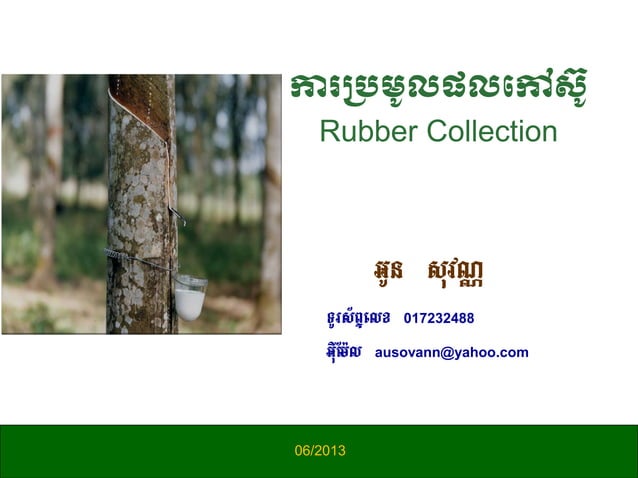 Rubber collection | PPT