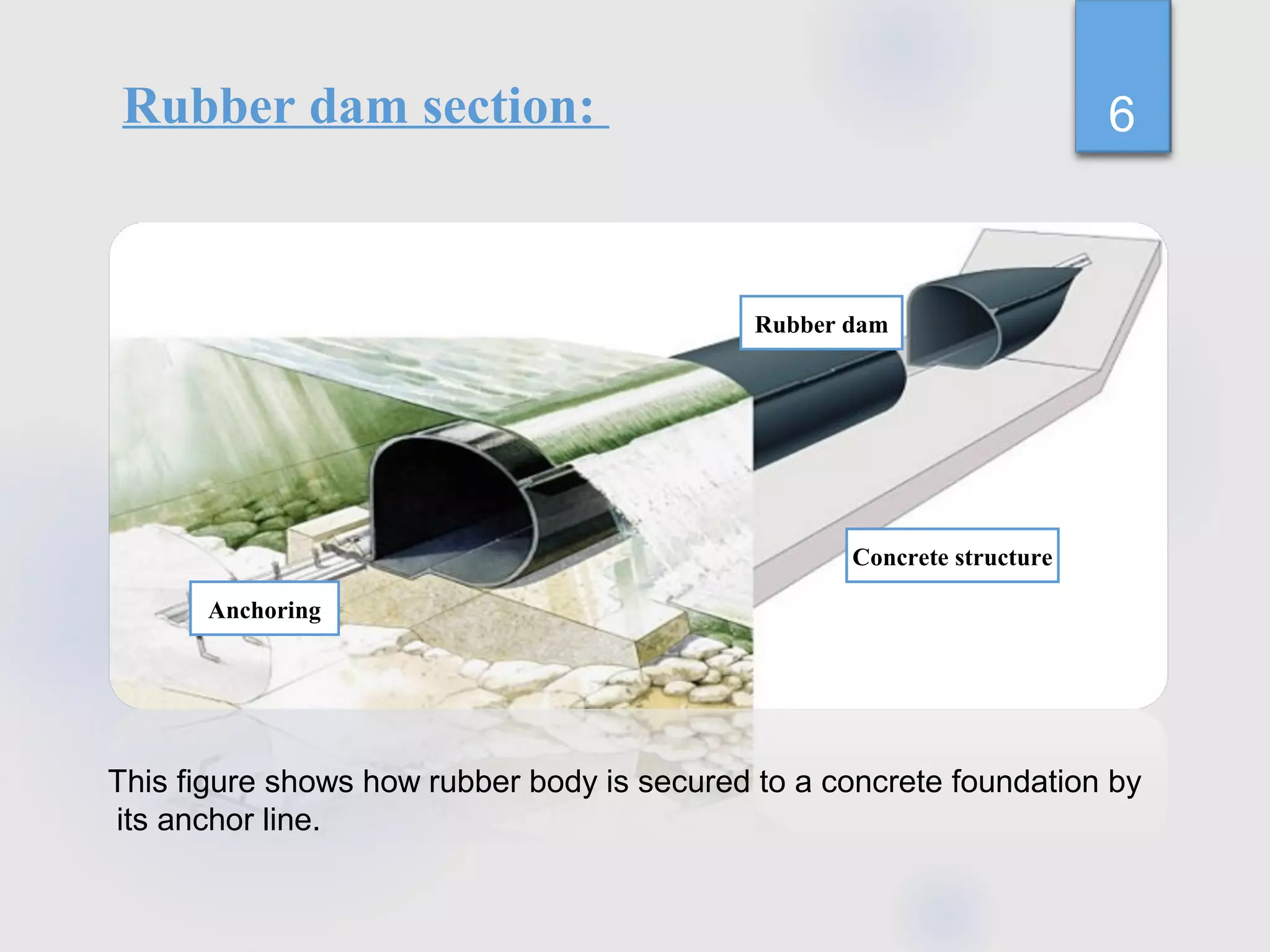 Rubber dam | PPT