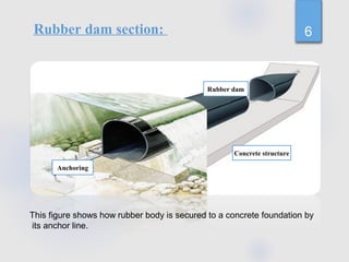 Rubber dam | PPT