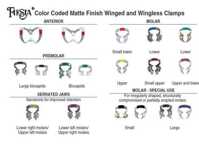 Rubber dam application | PPTX | Oral care | Personal Care