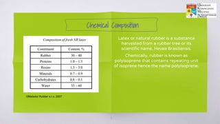 Manufacturing Process of Rubber Gloves | PPTX