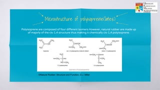 Manufacturing Process of Rubber Gloves | PPTX