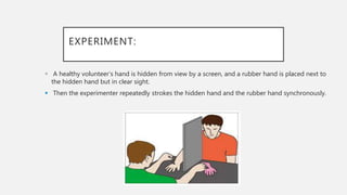 Rubber hand illusion | PPT