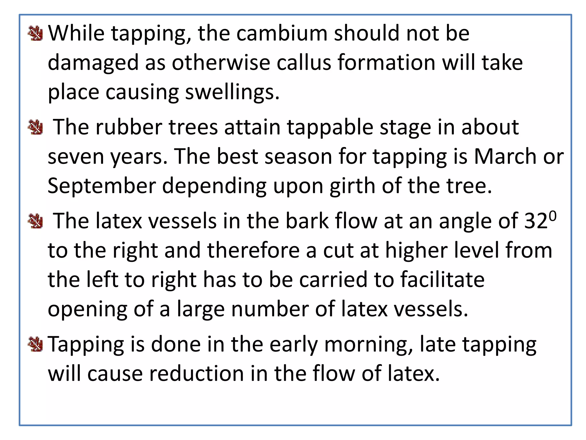 Rubber hrvest and processing 3 | PPTX