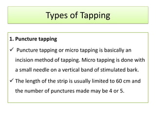 Rubber hrvest and processing 3 | PPTX